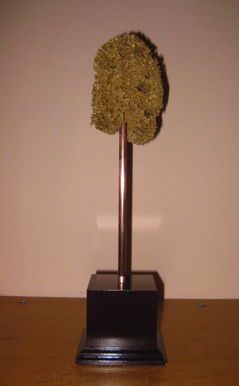 History Mysteries of Caroline Lawrence: So what's with the sponge-stick?