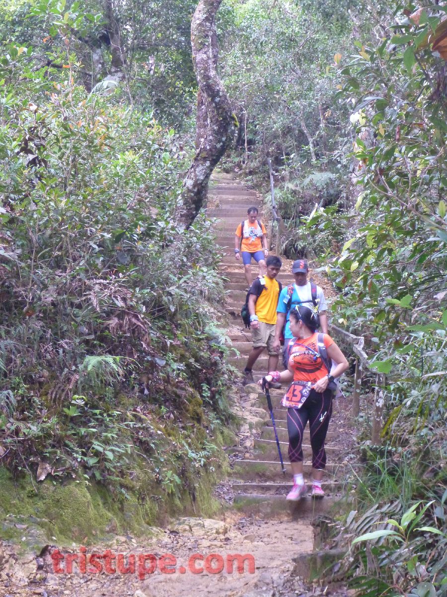 Sabah Adventure Challenge Race Report : Longest Day 1 ~ TRISTUPE.COM