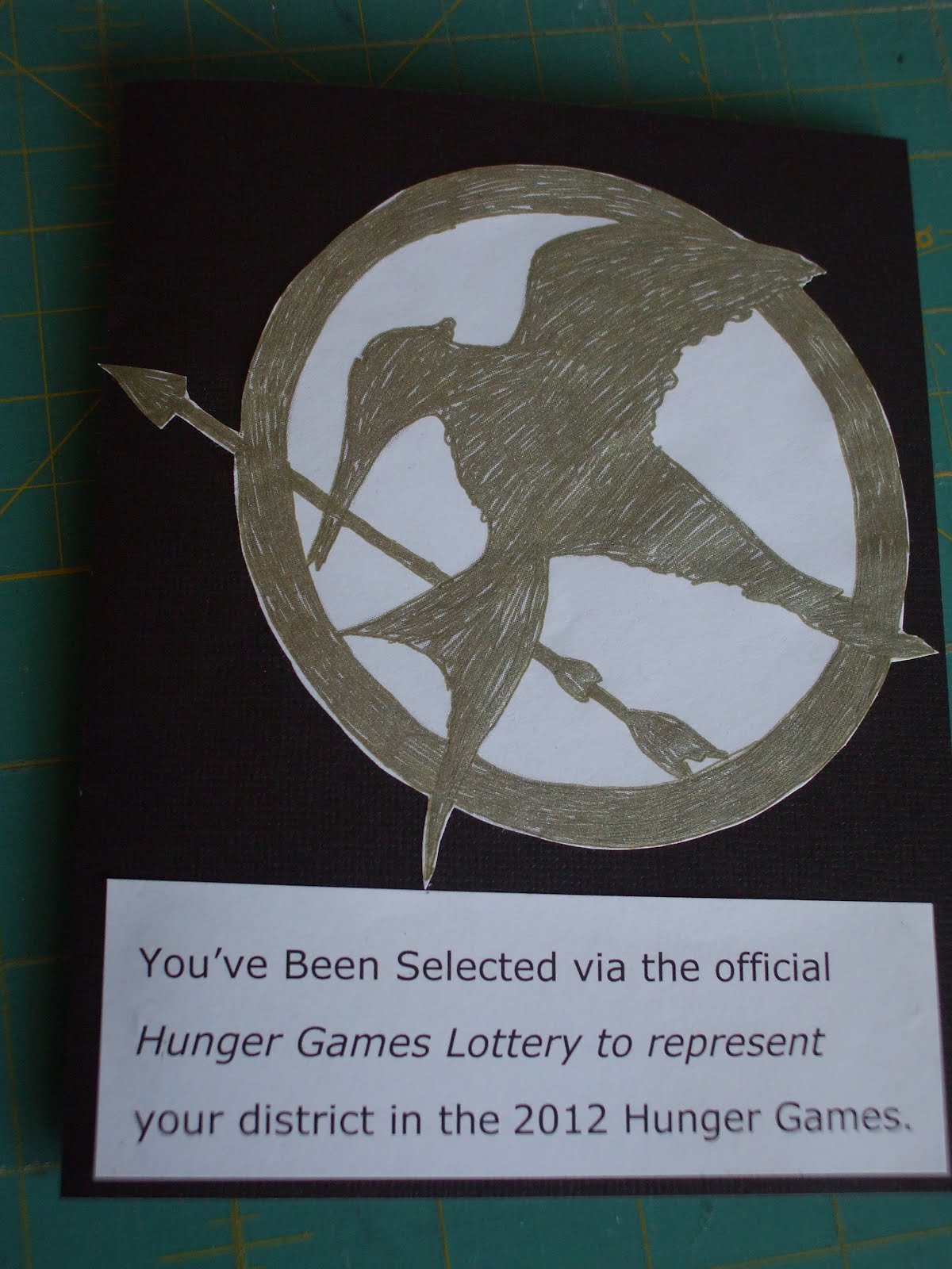 Three Musketeers... and a dog: Hunger Games Birthday Party