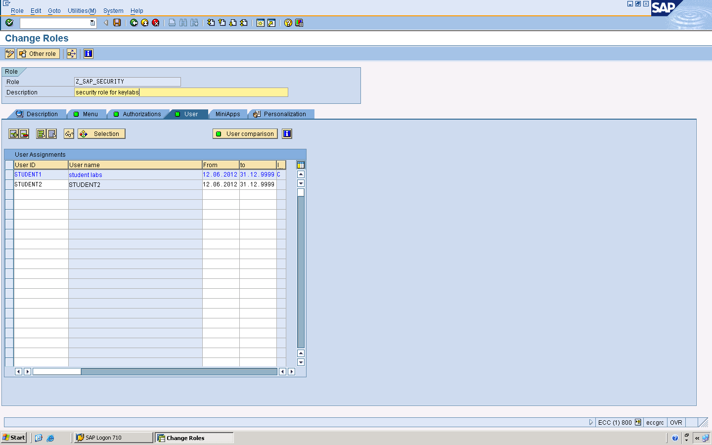 Sap Security Tutorial Single Role Creation Using Pfcg In Sap Security