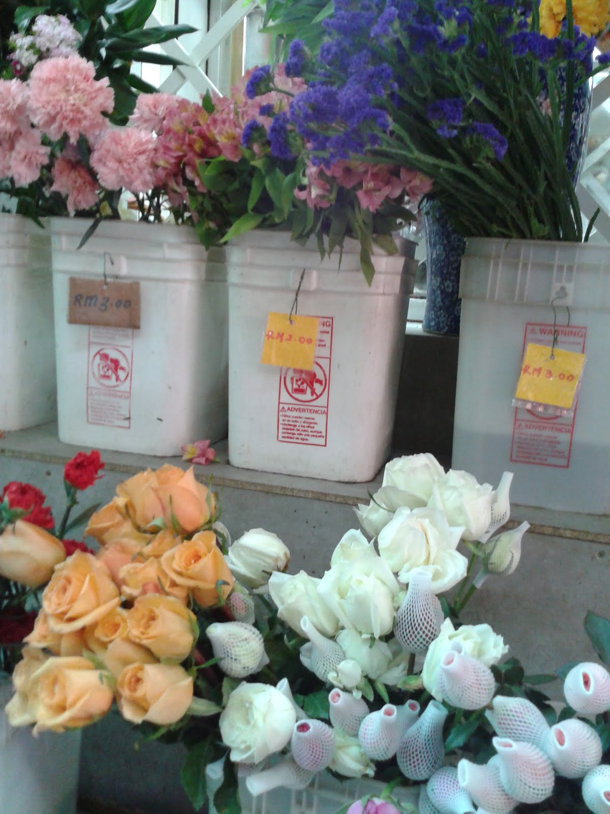 foto zaza: bunga segar: sekuntum RM3