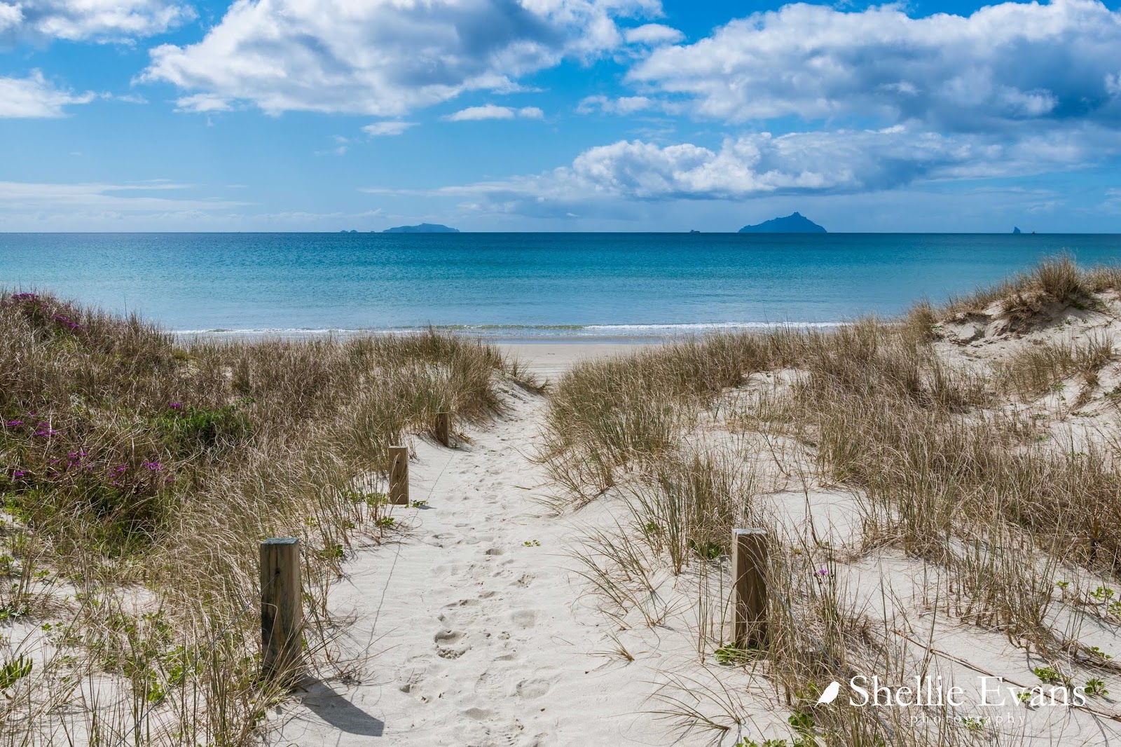 Two Go Tiki Touring: Stunning Beach & Uretiti DOC Camp