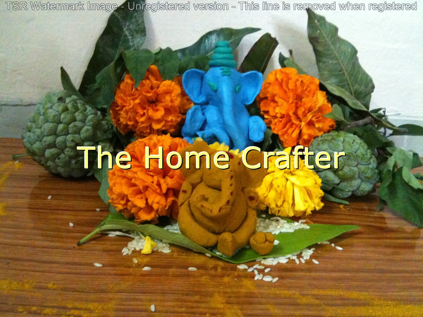 The Home Crafter : DIY Eco-friendly Ganesha
