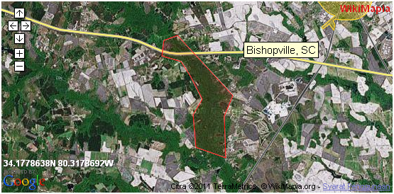 Lizard Man dari Bishopville