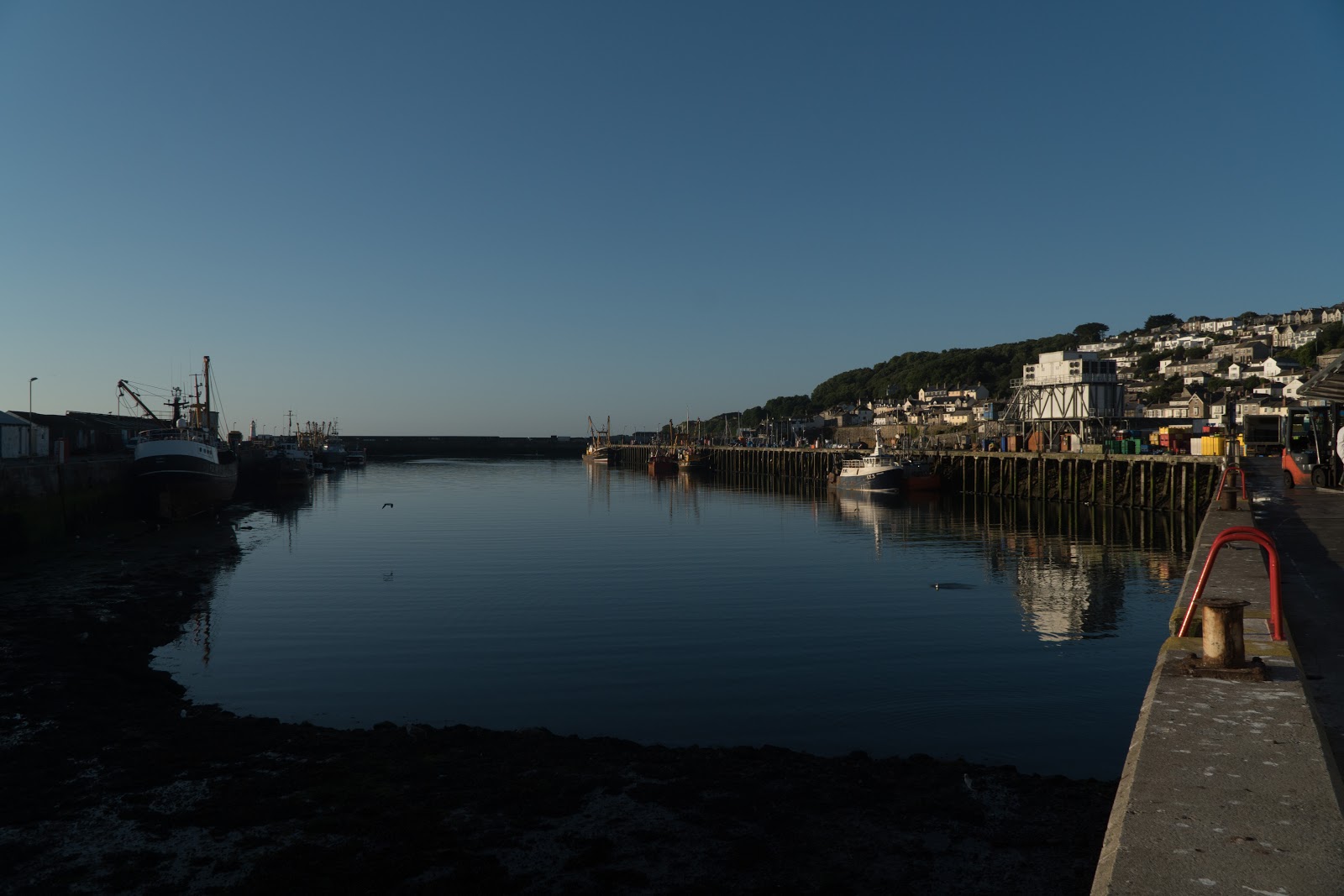 Through the Gaps! - Newlyn Fishing News: #FishyFriday on Newlyn fish ...