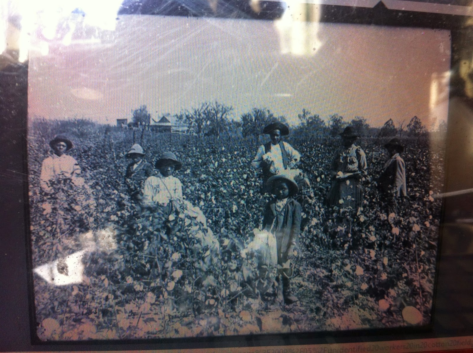 THE BLACK SOCIAL HISTORY:: BLACK SOCIAL HISTORY : FREED UNITED STATES ...