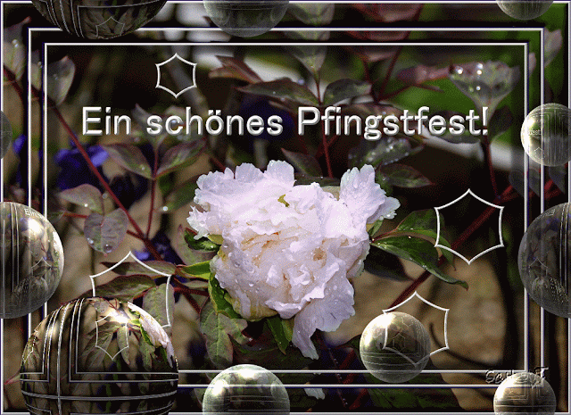 Spraitbacher Bilderbogen: Frohe Pfingsten!