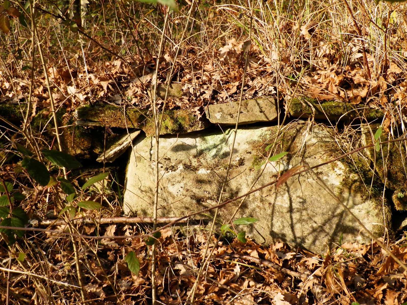 VER SACRUM - Ricerche di storia, ambiente e cultura locale: La chiesa ...