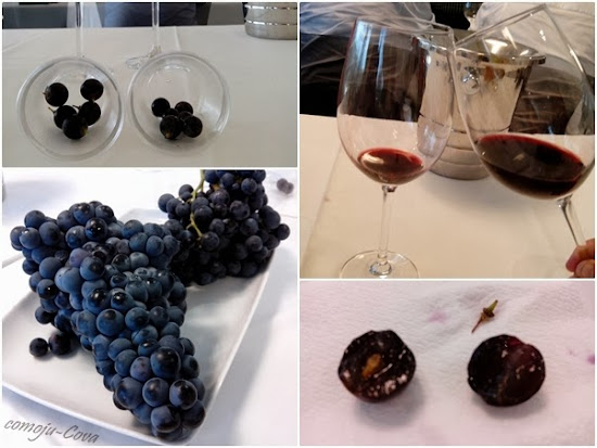 Tras varios ensayos, con la cosecha de 2011 Rafa Navarro el viticultor ...