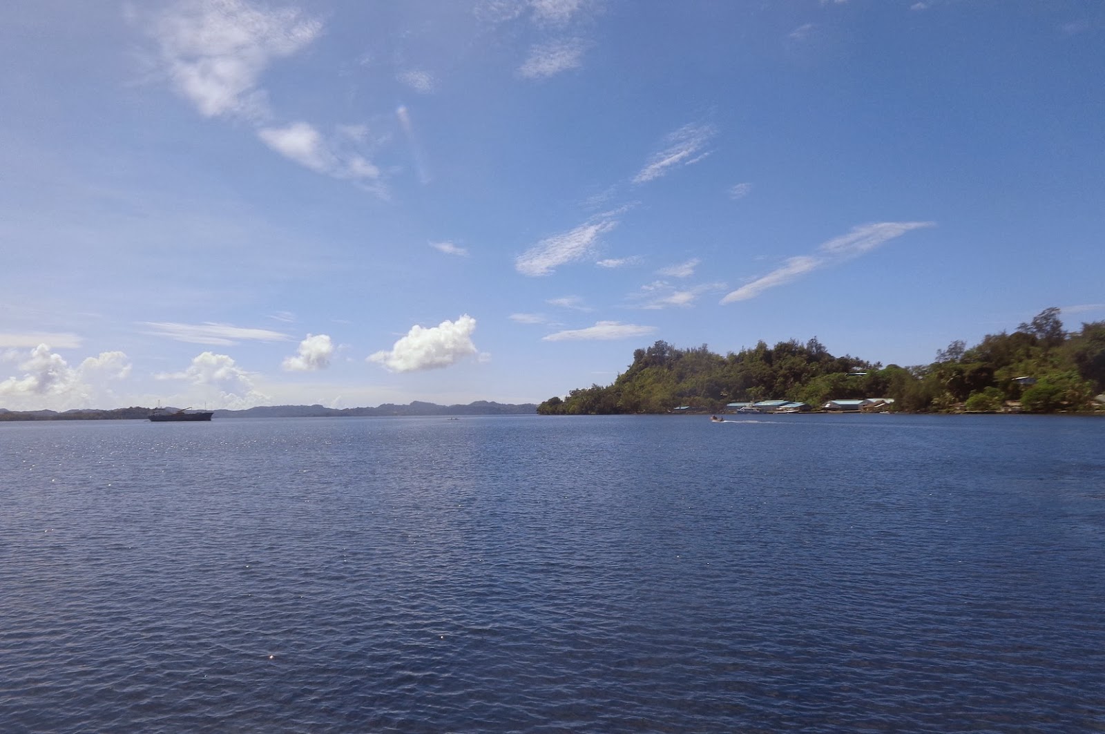 No direction home ... a complete unknown ... like a rolling luggager ...