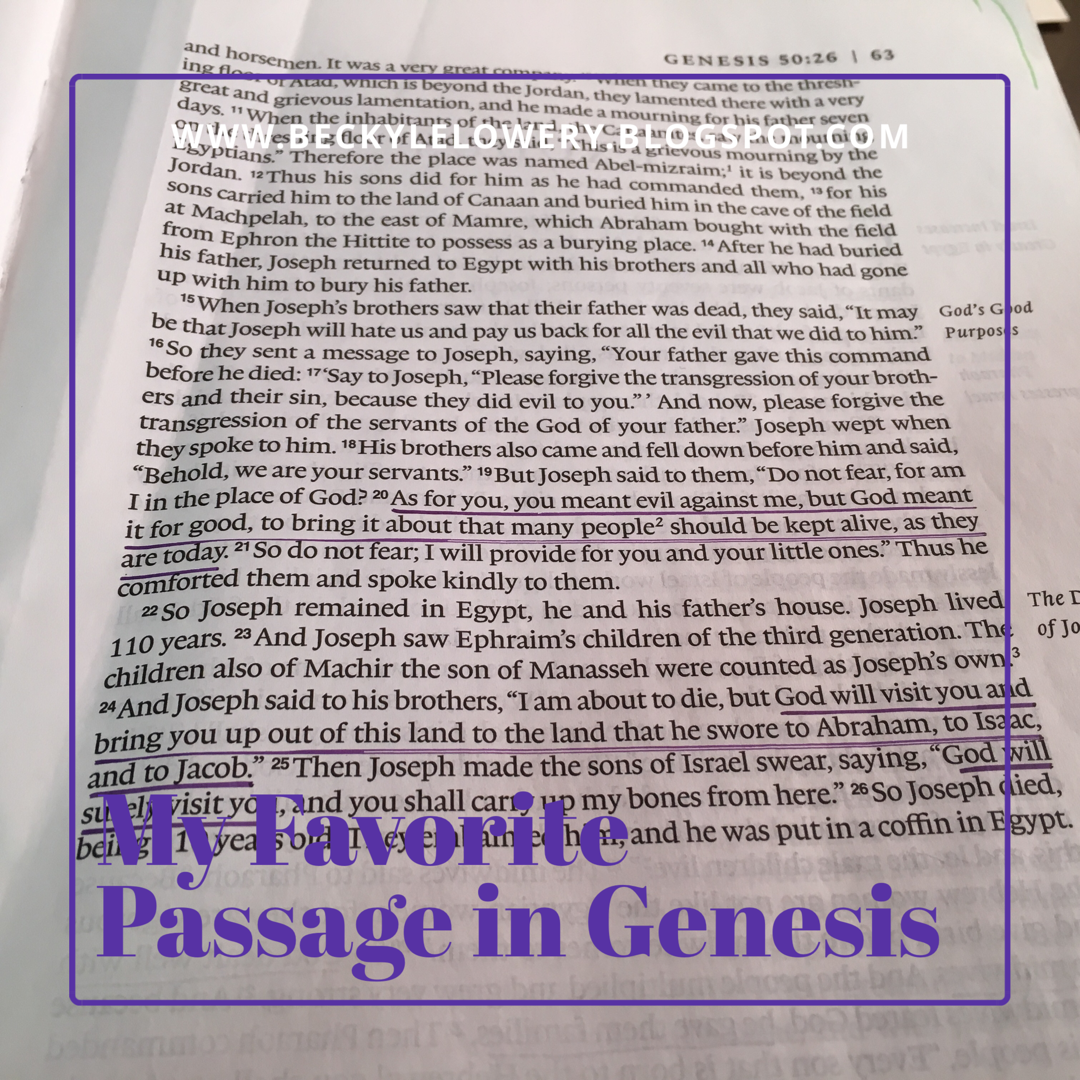 BecKyle: Favorite Passage in Genesis