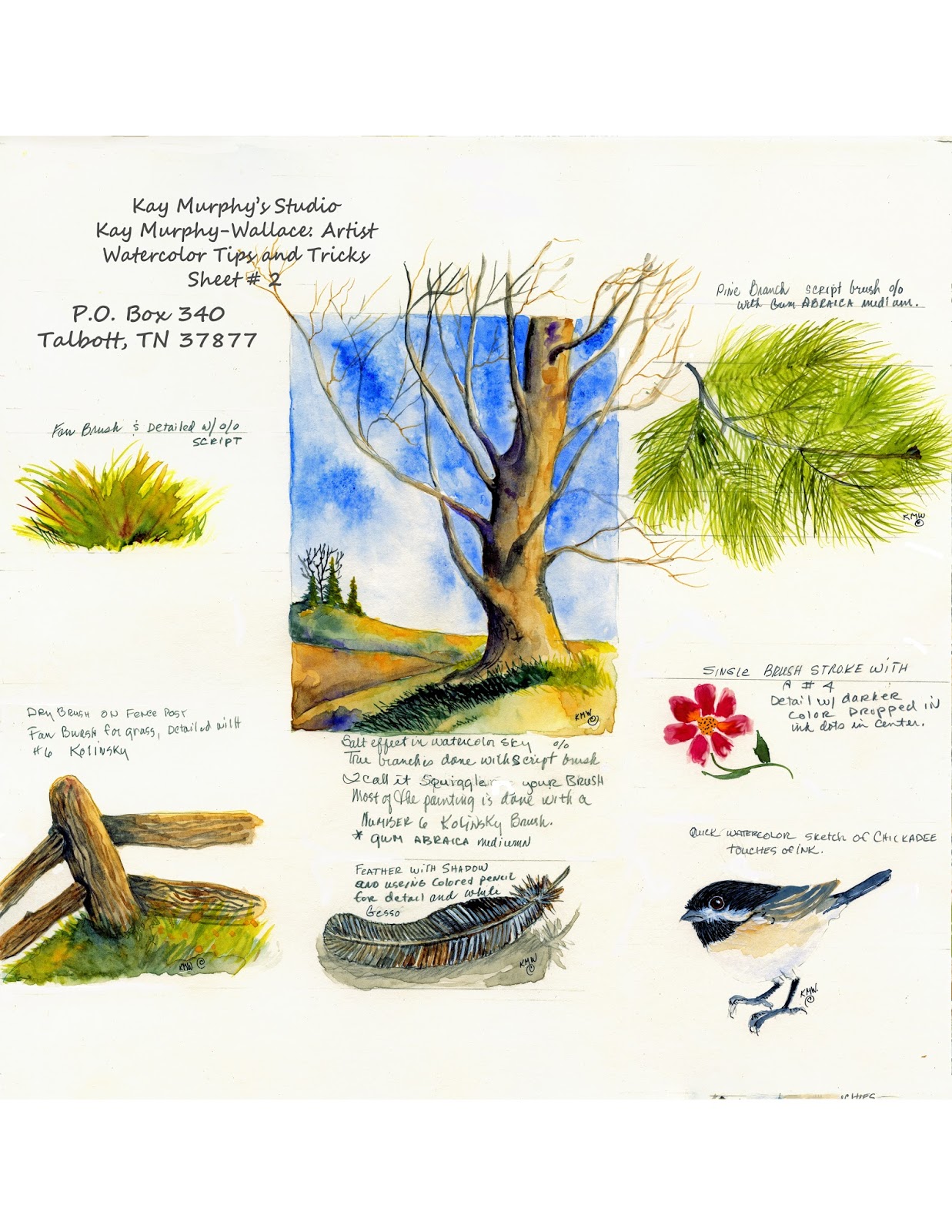 Kay Murphy's Studio Kay Murphy-Wallace:artist: September 2015