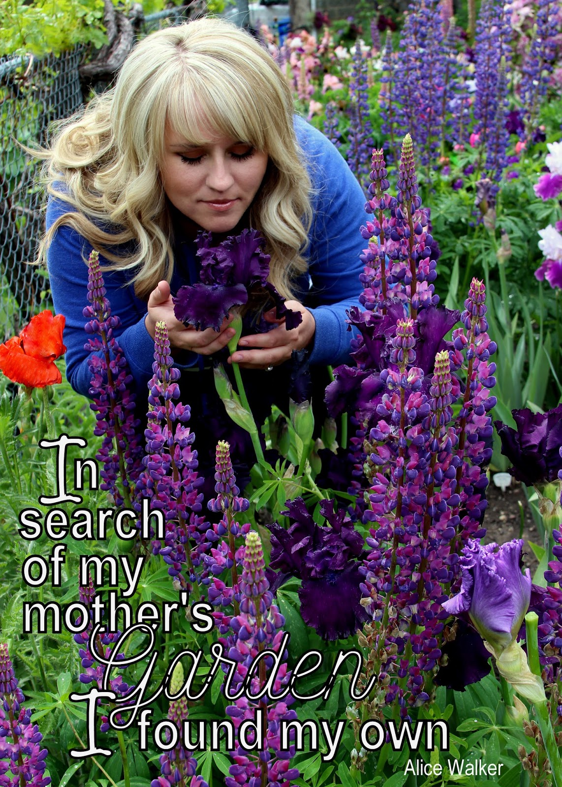 World of Irises: "Talking Irises" TALL BEARDED IRISES--GARDENING IS NO ...