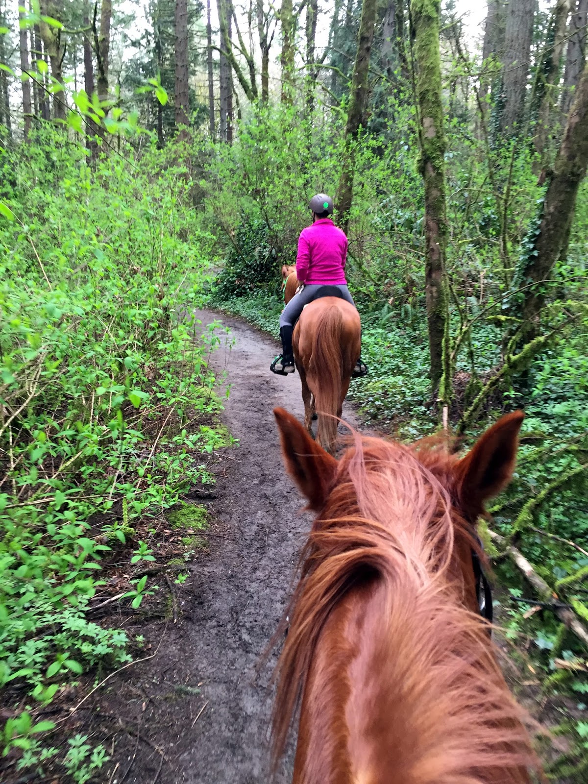 Red Mare Running: PNER Convention Notes – “Beyond Conditioning” – by ...