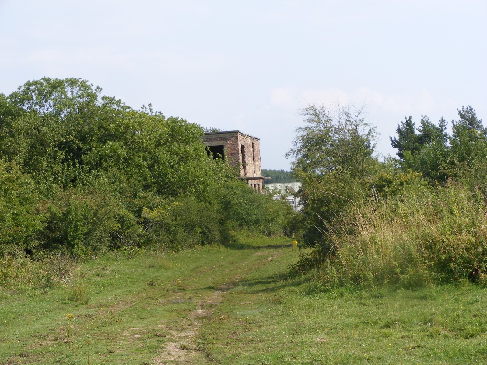 RAF Lincolnshire: RAF North Witham - D-Day and a brief History.