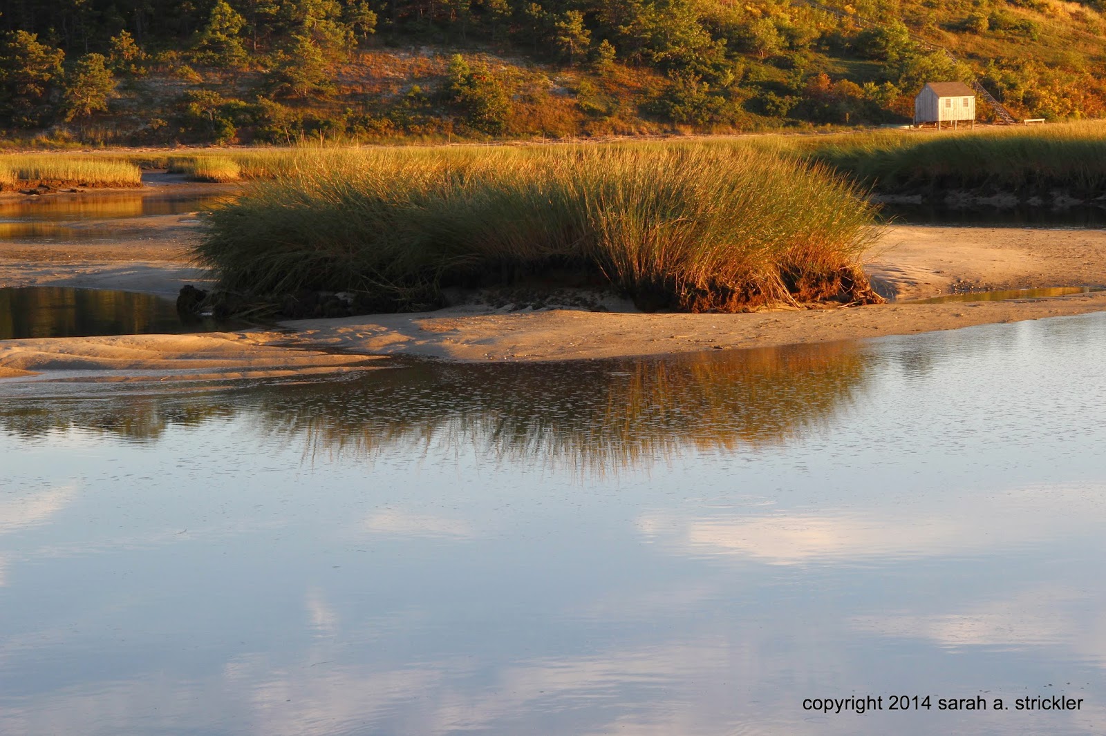 Of Leaf and Limb: Views along the Pamet: Truro's Tidal River and a ...
