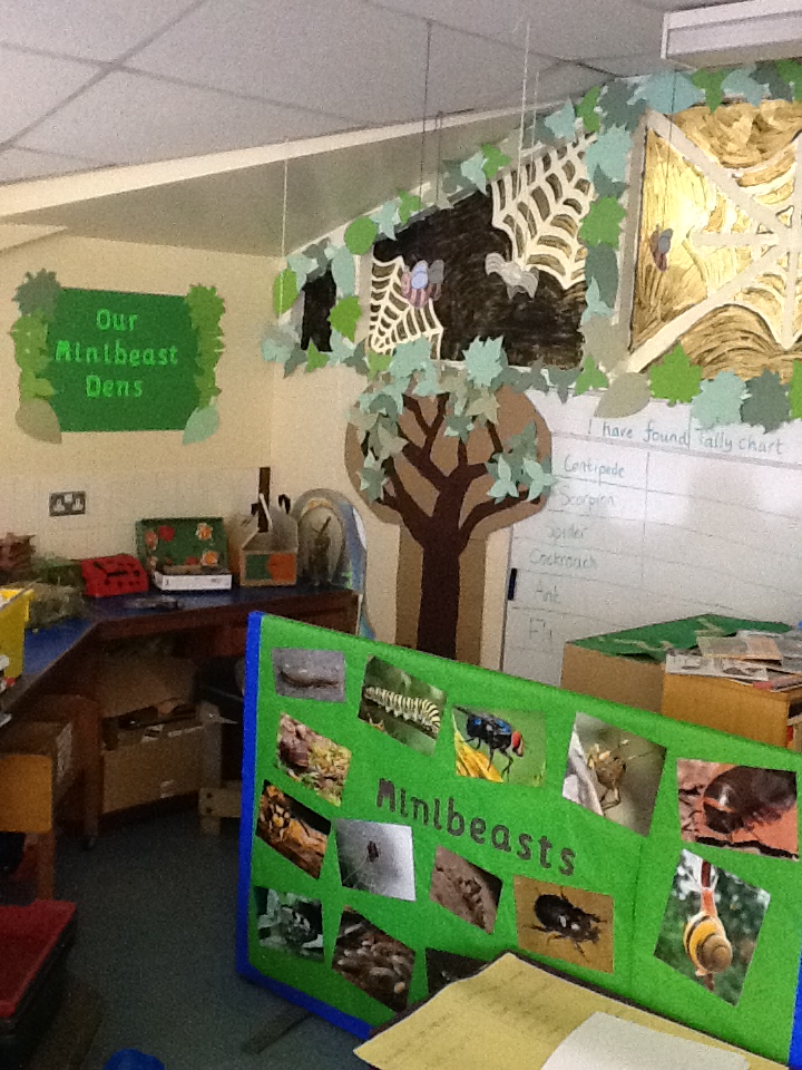 Mrs Cecchini's Class Blog 2014-15: Minibeasts!