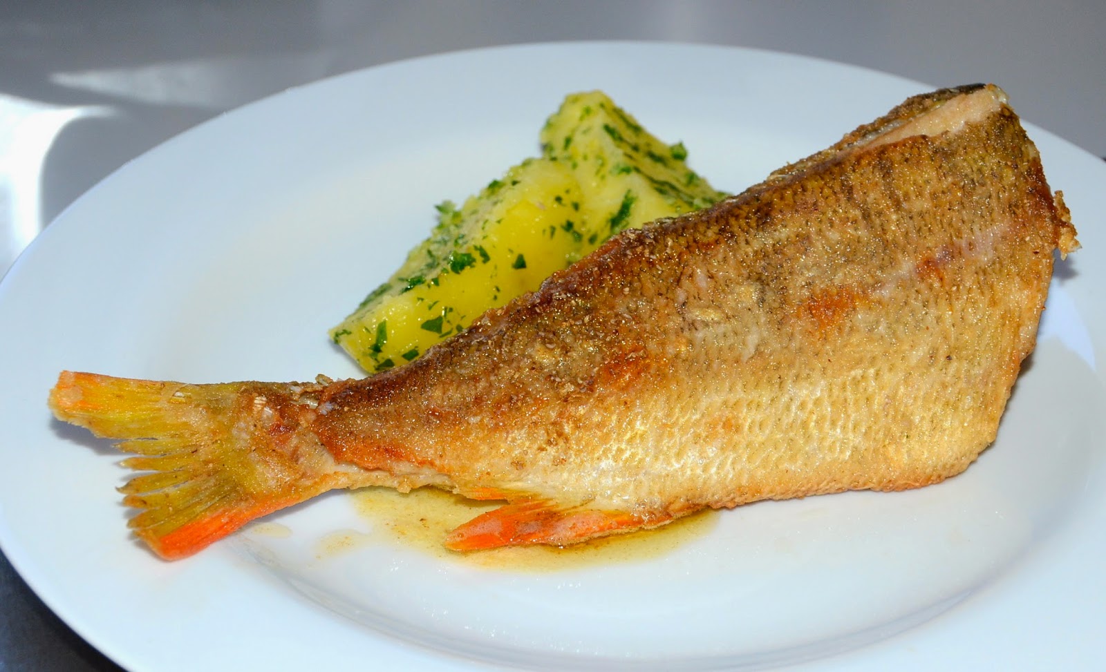 Küchentanz: Flussbarsch, Zander und meine Freundin, die Donau