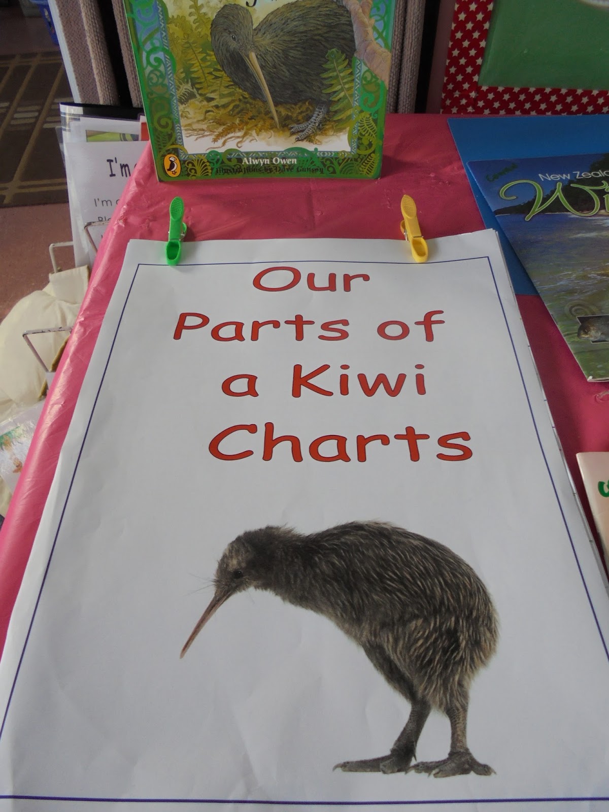 Owlish O's: Parts of a Kiwi