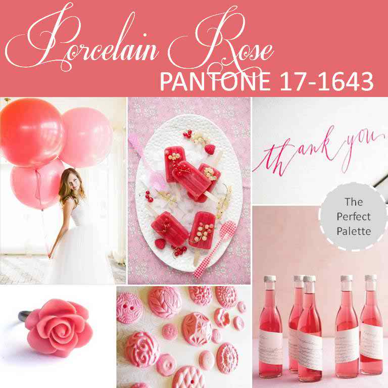 {Pantone Palette}: Porcelain Rose 17-1643 | The Perfect Palette