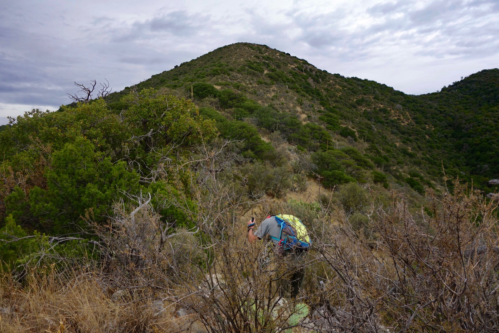 Earthline: The American West: Apache Peak, 7,711'; French Joe Peak ...