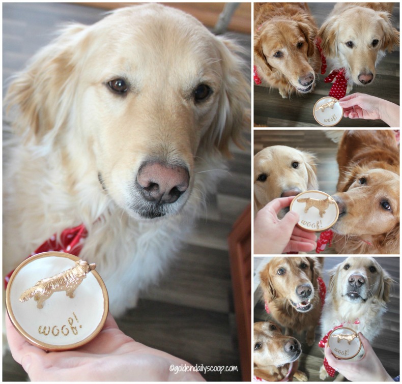 DIY: Dog Ring Holder