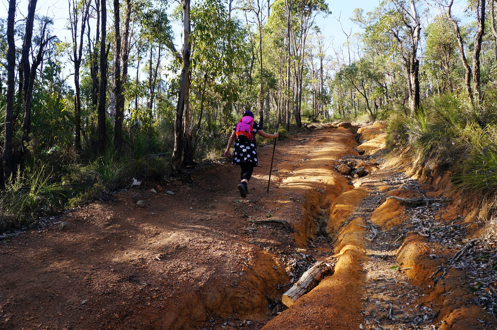 The Dell to South Ledge (Beelu National Park) ~ The Long Way's Better
