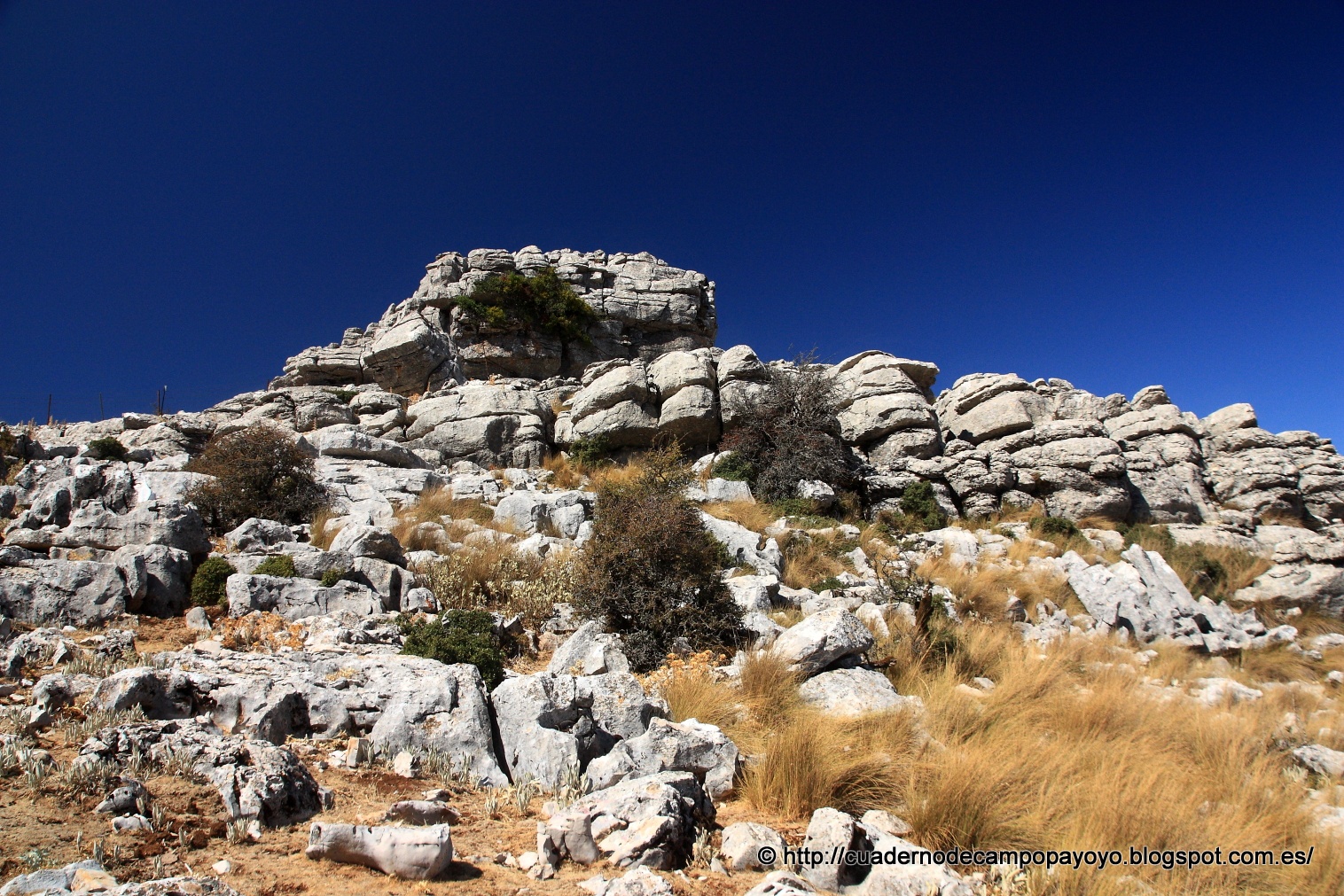 Cuaderno de Campo Payoyo: Las caras del Tunio (Benaoján)