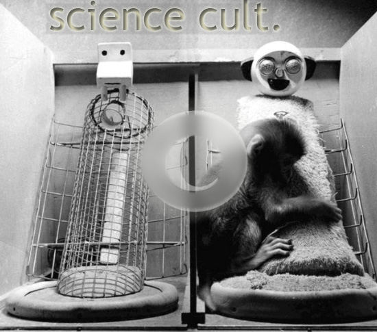 World Boat: The monkey mother surrogate experiment.