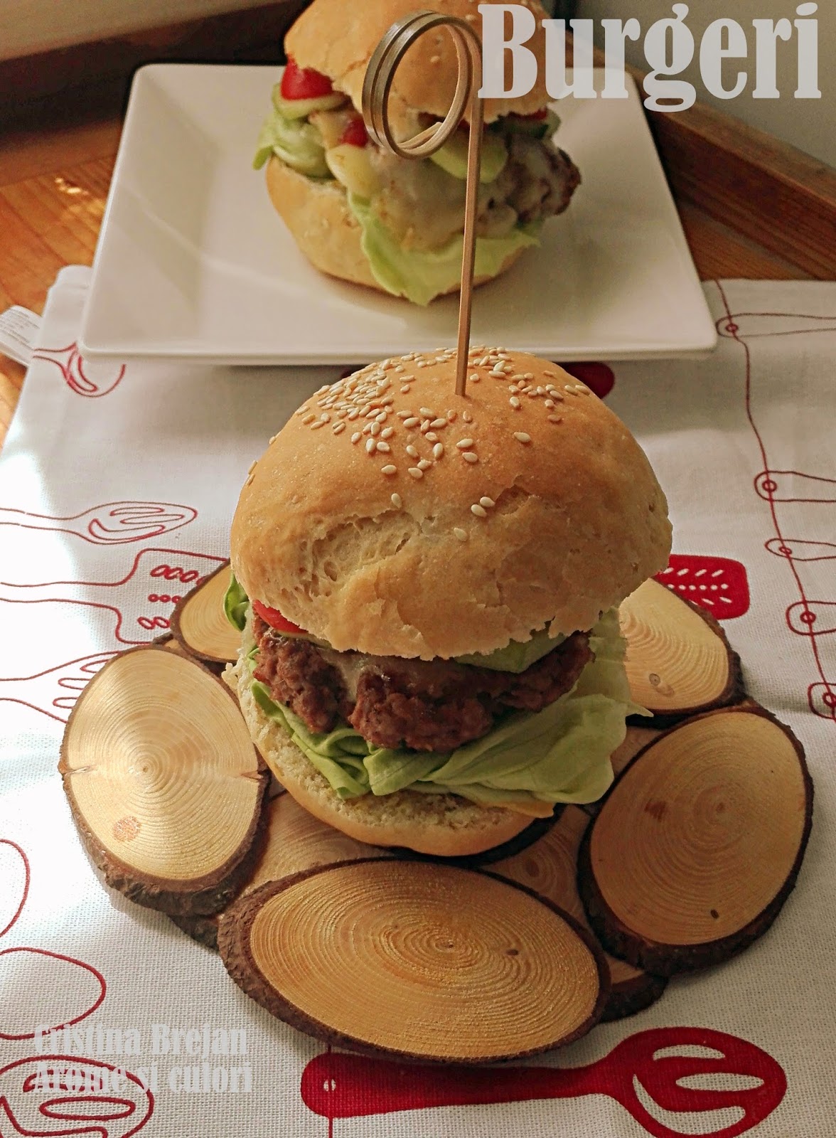 Arome si culori : Burgeri