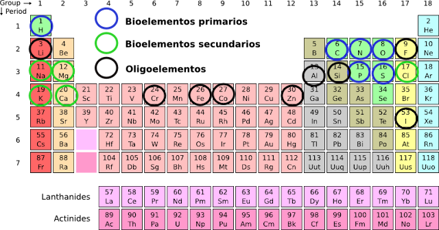 Bioelementos y Biomoleculas