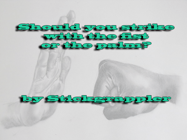 Should You Strike with the Fist or with the Palm? ~ Stickgrappler's ...