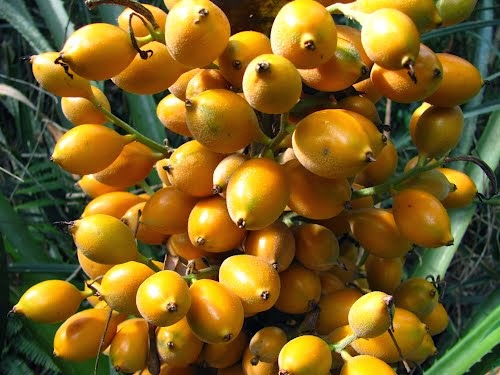 Ludugero desde que me entendo por Ludugero: AZINHAVRES, por João Maria ...