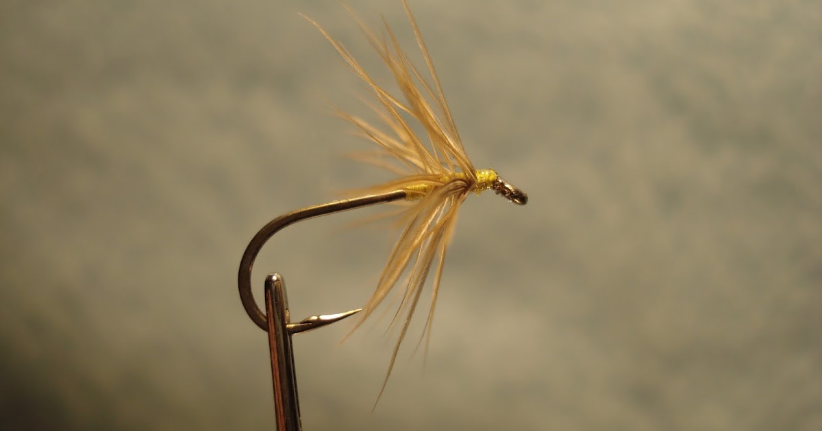 SOFT HACKLES, TIGHT LINES: Red Spider