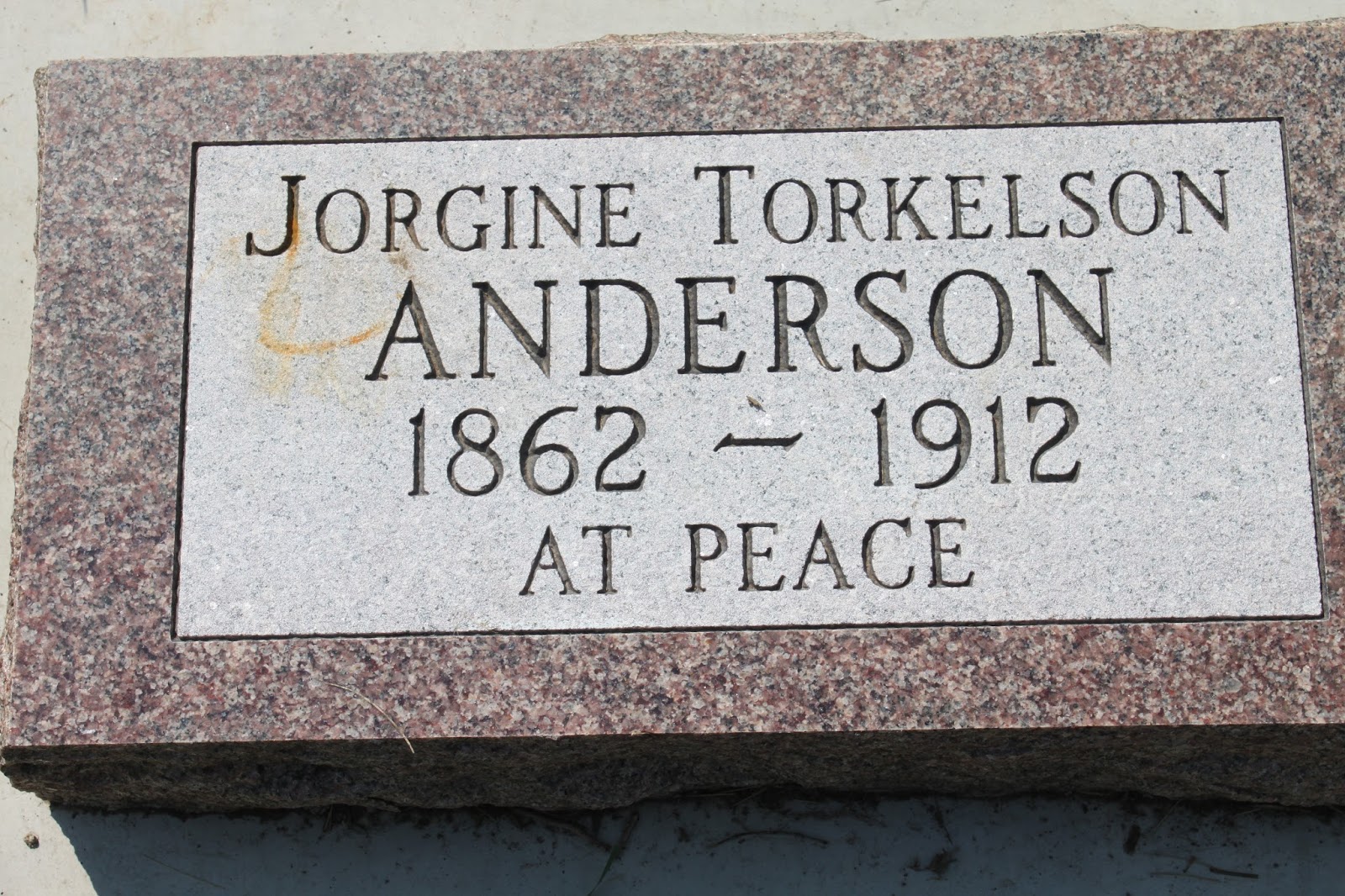 Victoria Jo's Family Stories: Jorgena Torkelson (1862-1912) (52 ...
