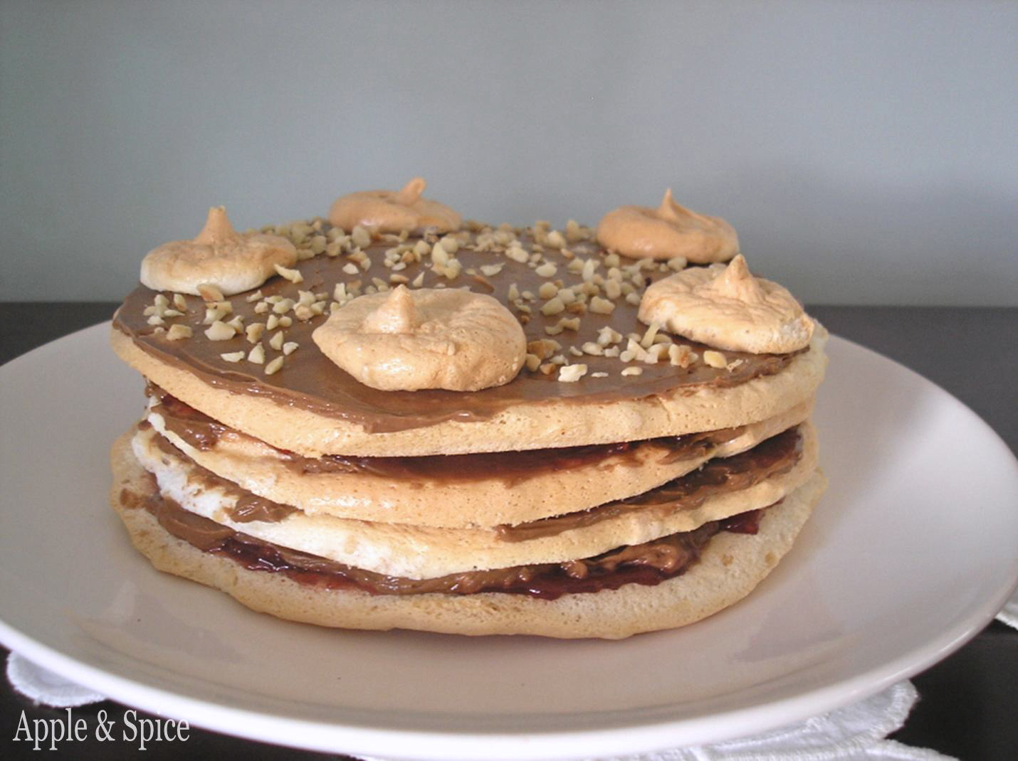 Apple & Spice: The Daring Bakers November 2011 Challenge: Chocolate ...