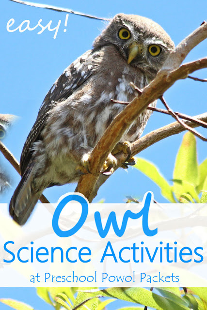 Owl Science Activities and Experiments | Preschool Powol Packets