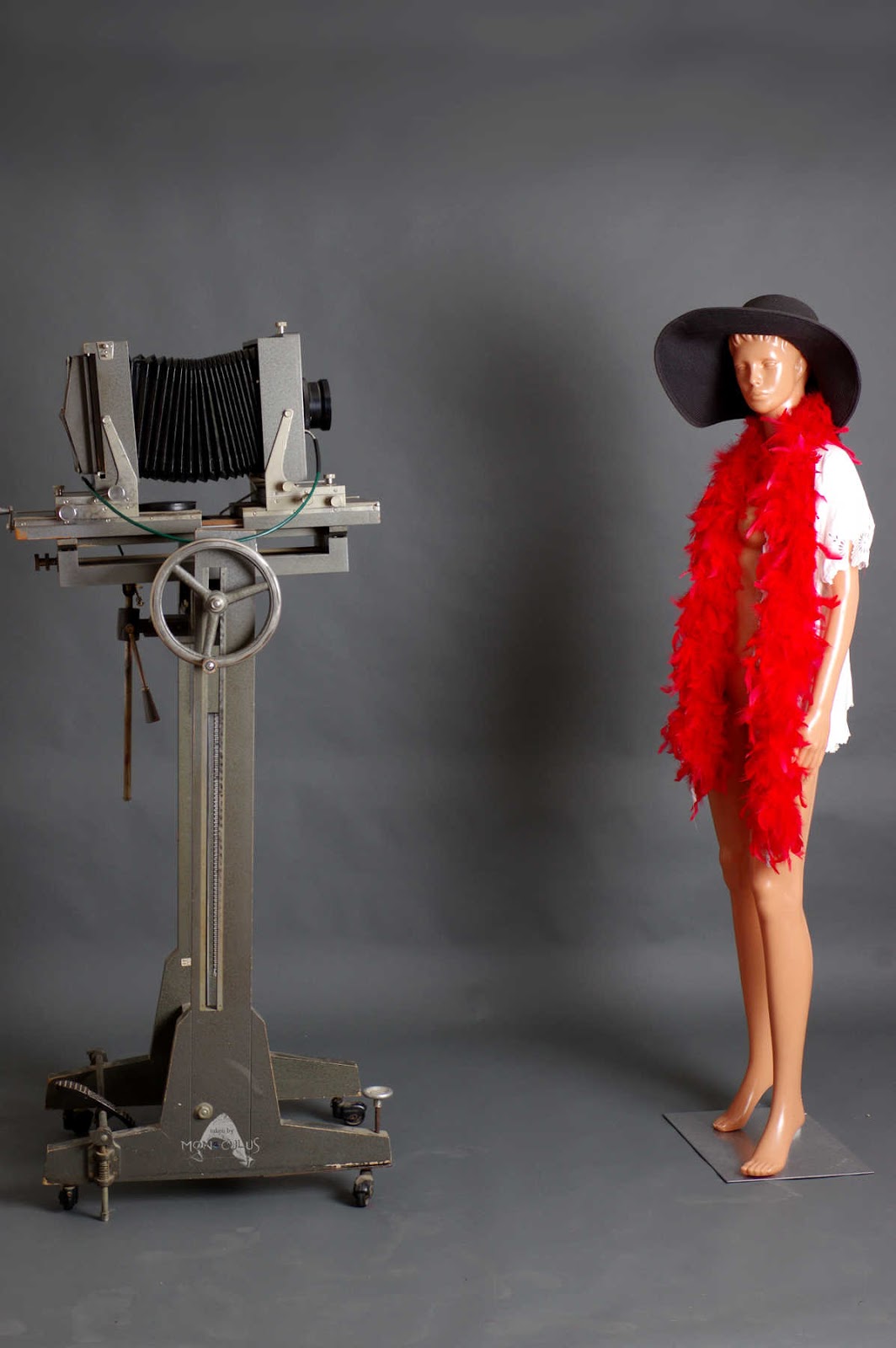 Heremita Monoculus: New in my collection