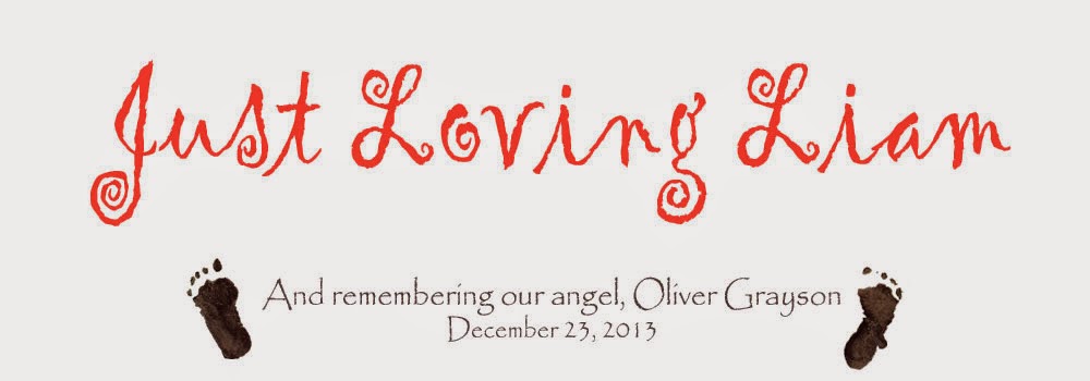 Just Loving Liam: Dear Liam