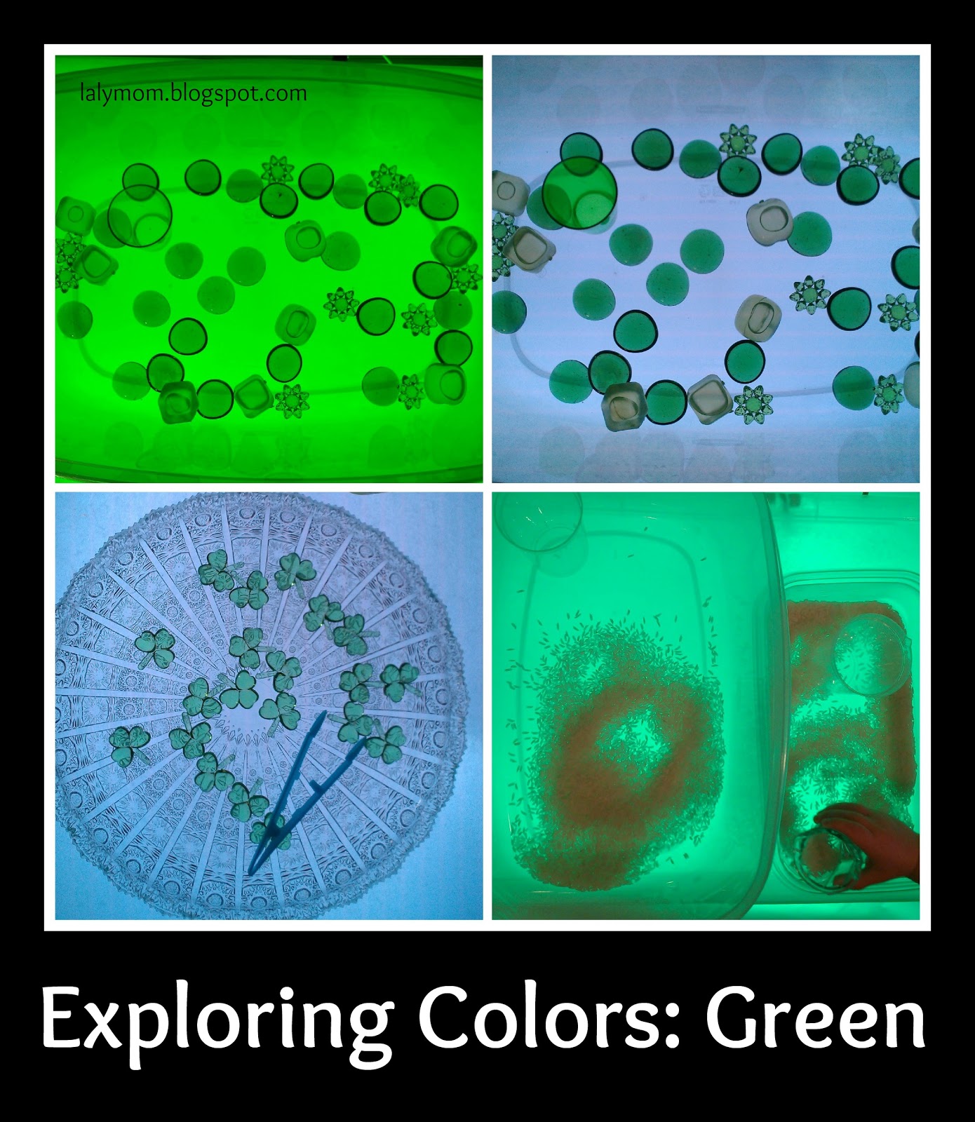 Exploring Green - LalyMom