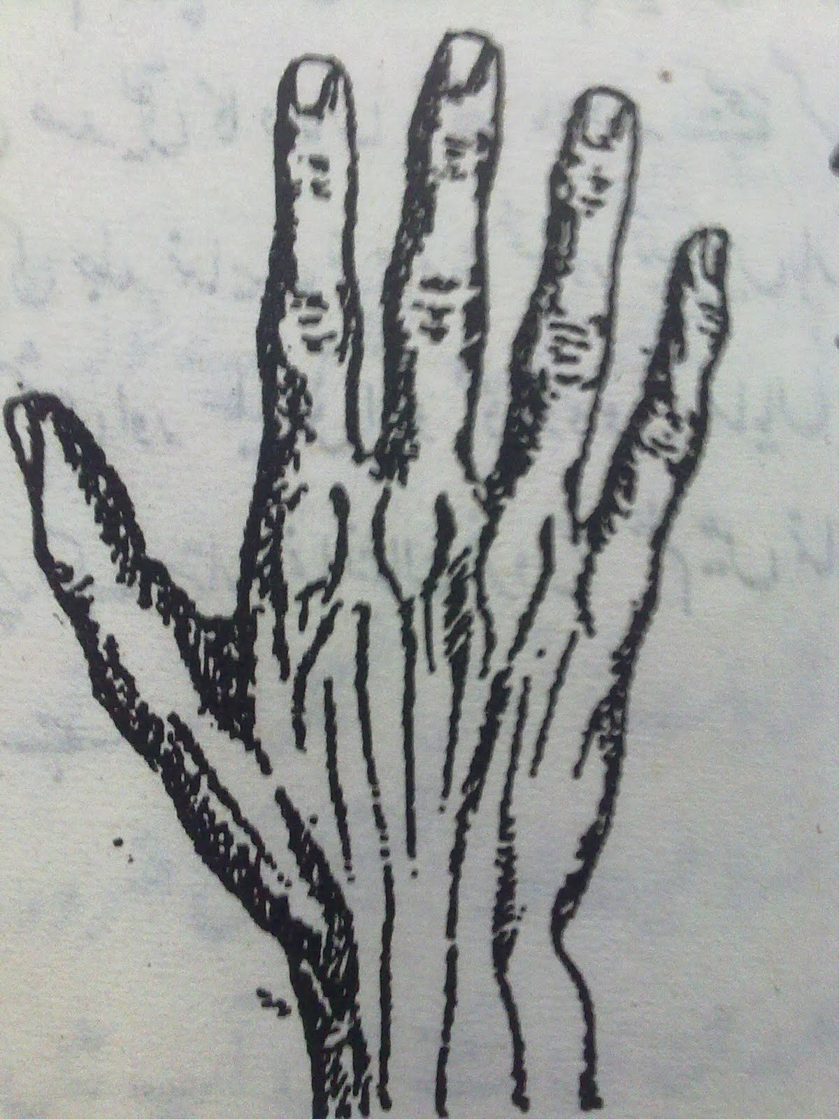 Palmistry Guide: Seven types of Hands in Palmistry-The basics of hand ...