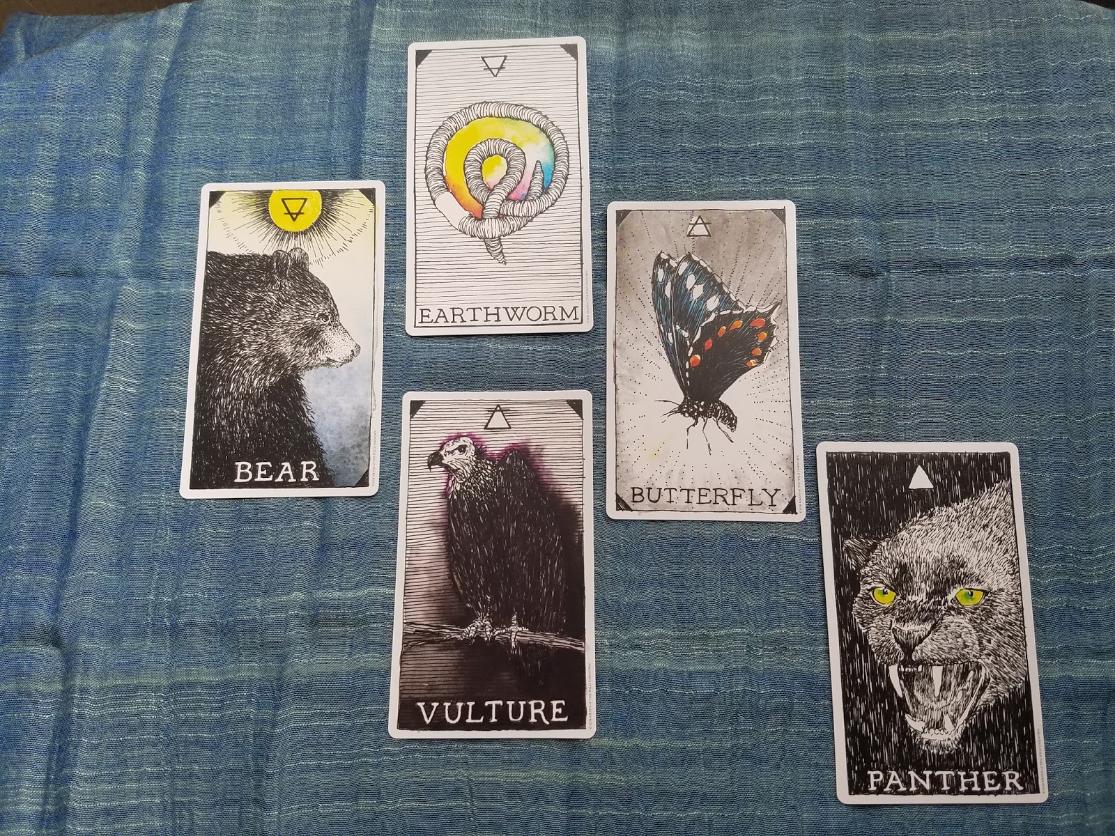 Renara's Sacred Space: The Wild Unknown Animal Spirit Oracle Deck ...