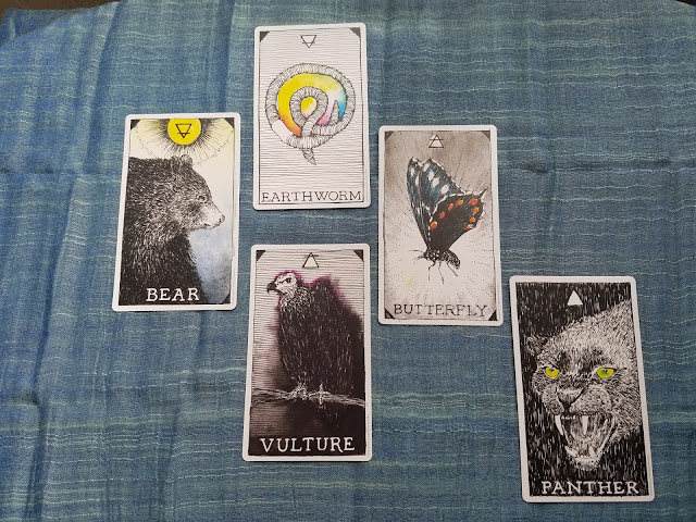 Renara's Sacred Space: The Wild Unknown Animal Spirit Oracle Deck ...