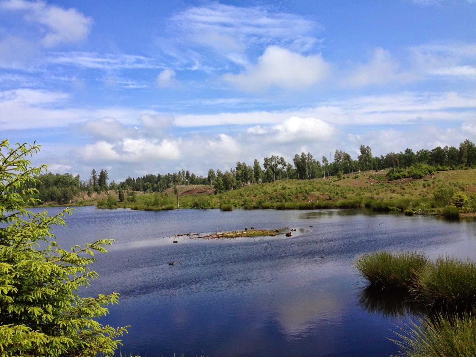 Danish Greenspace: Danish National Parks