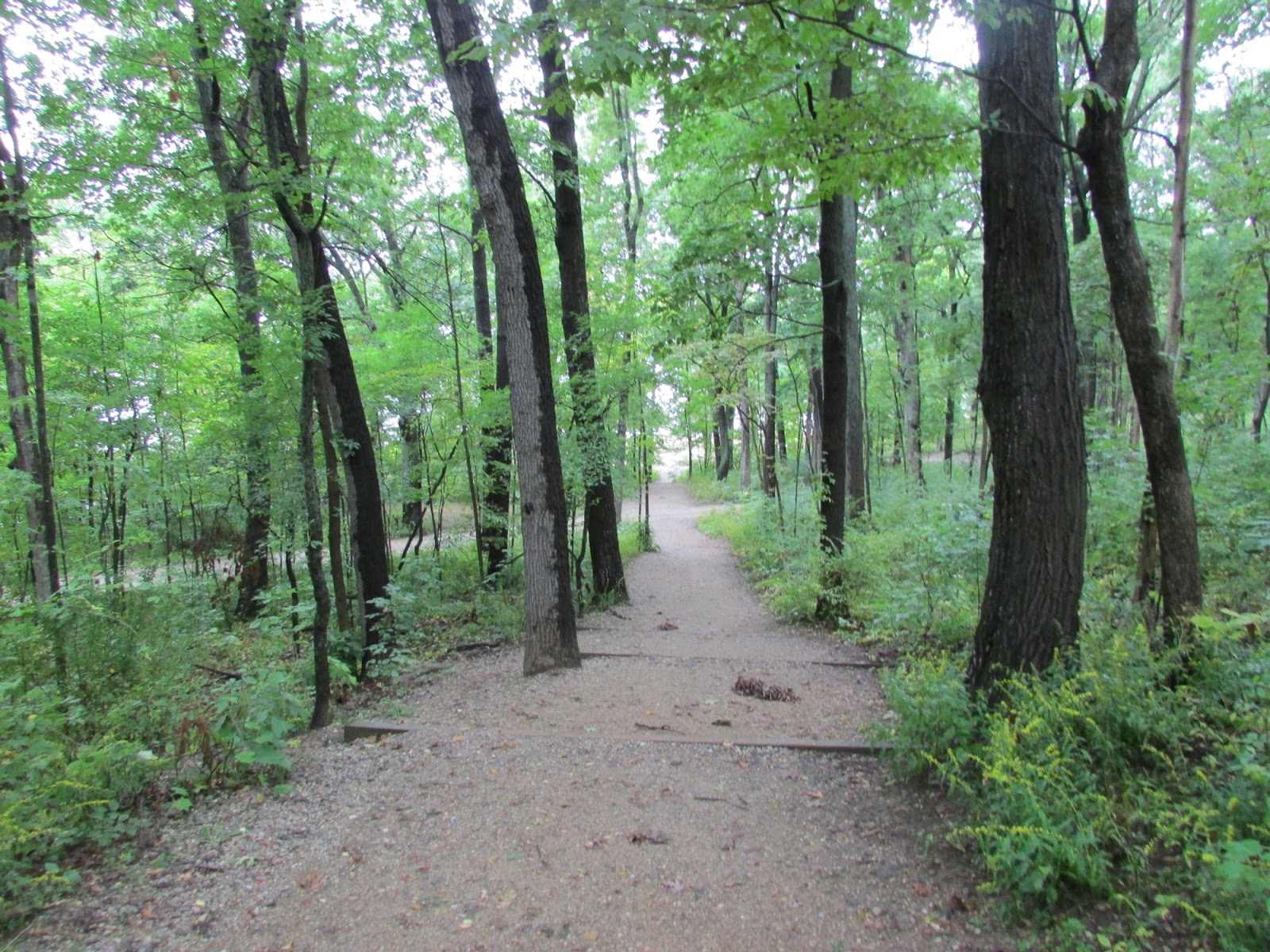 Murray & Candace's Adventures: Pokagon State Park...
