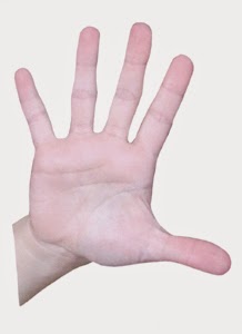 Palmistry Guide: The seven types of hands (PART 1)