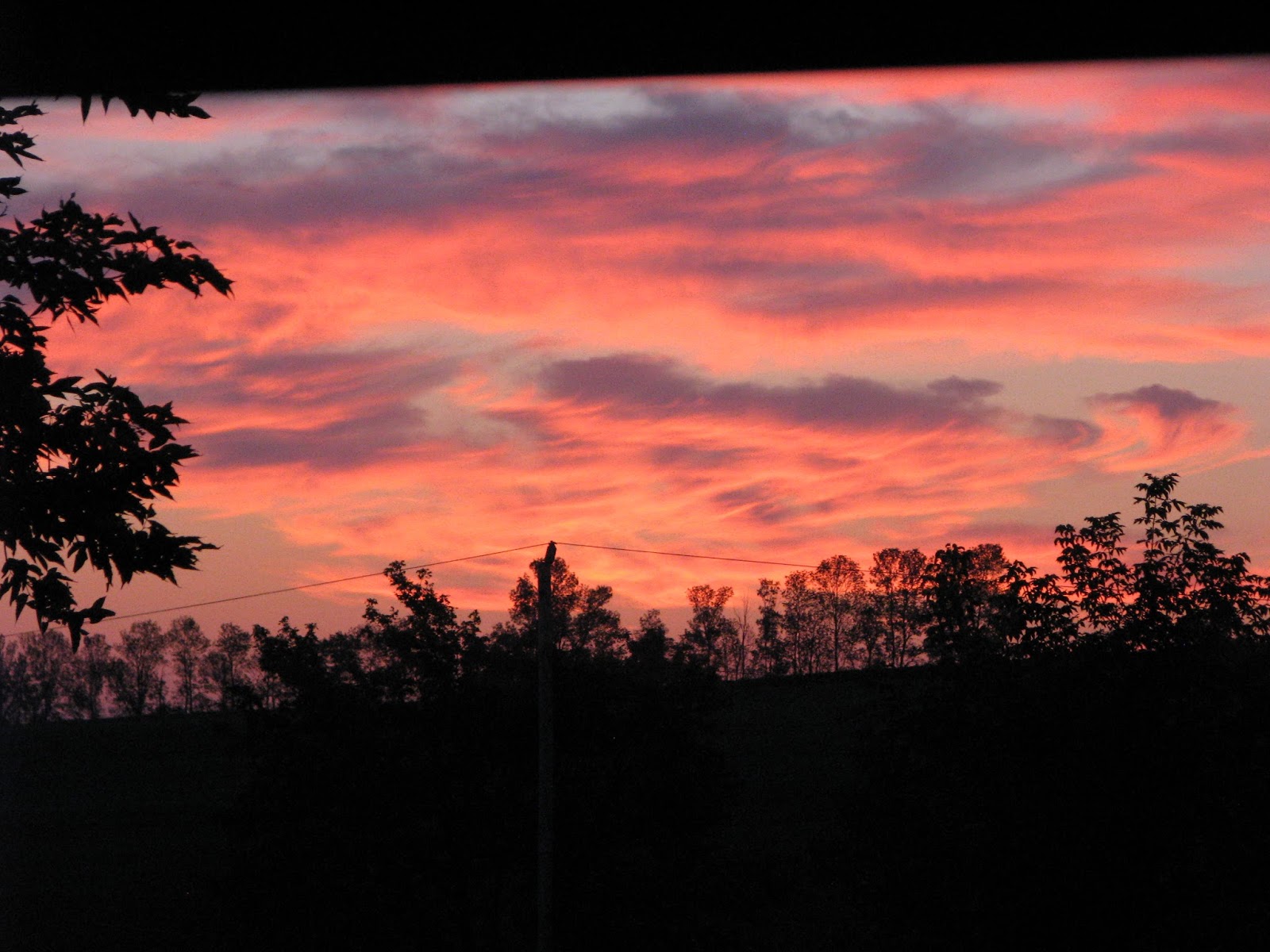 That British Woman: Good Morning, a lovely sight to see on a morning