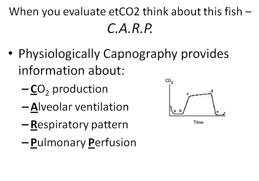 Respiratory Care K.I.S.S.: 2011