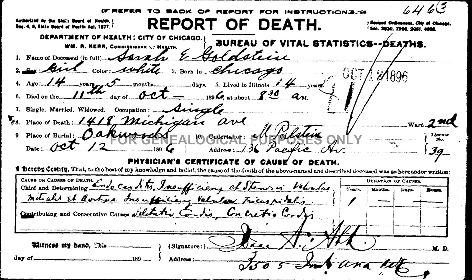 Under Every Tombstone: ANOTHER LOOK "UNDER THE ARCH" - Wolf Goldstein