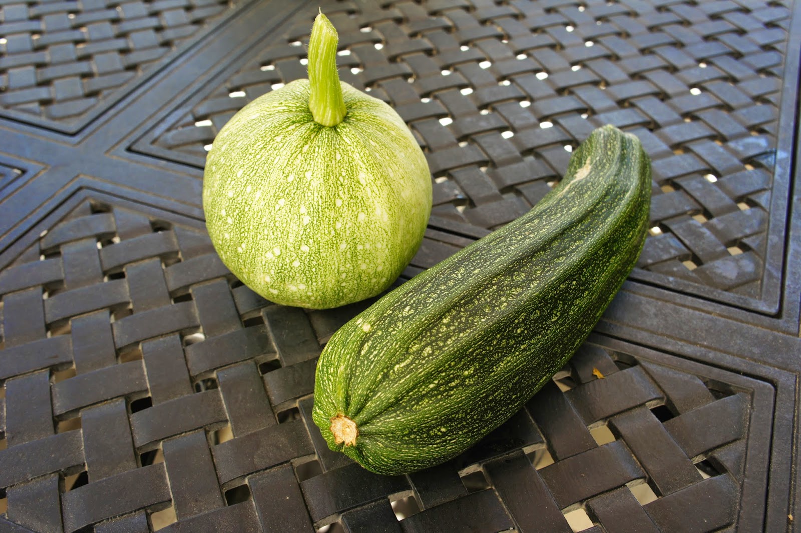 Grilled Costata Romanesco Zucchini